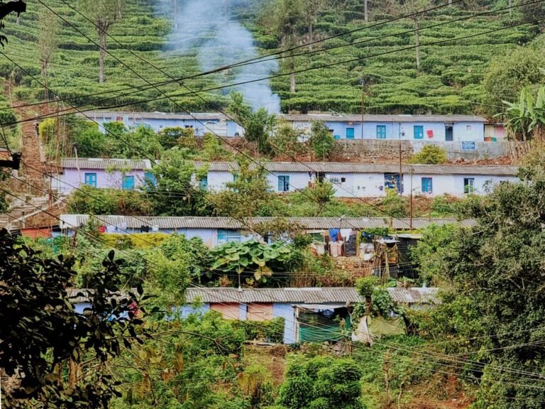 7 Wonderful Things to Do in Coonoor, India - Real Talk Travel